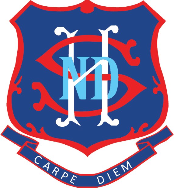 Official NHS_logo - Naracoorte High School